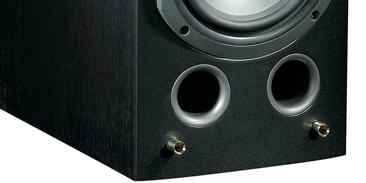 Triangle Pack Antal EX Noir | Packs Enceintes Colonnes sur EasyLounge